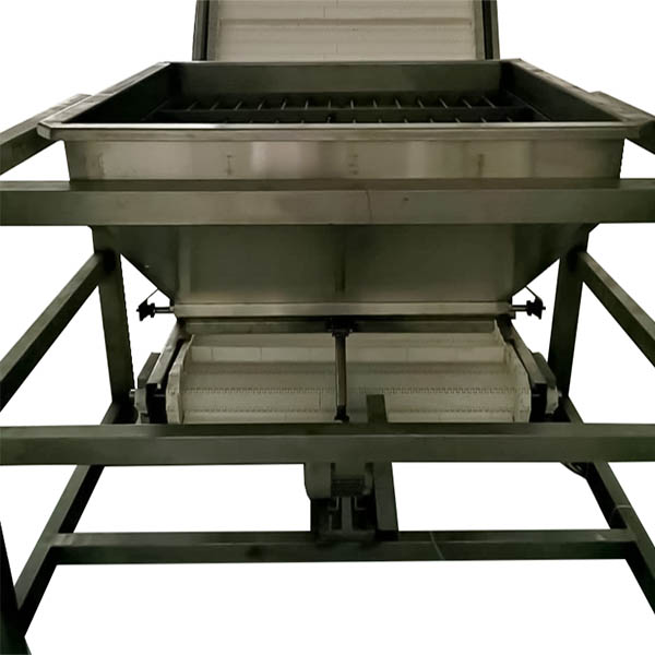 dates processing units , dates washing line